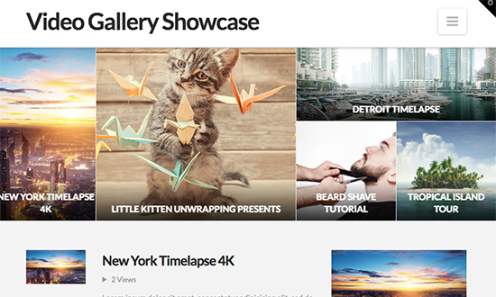 Video Gallery WordPress Preview
